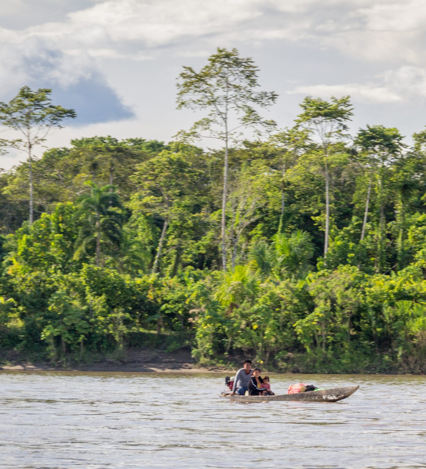 Forest Peoples Programme (FPP) - Transformative Pathways