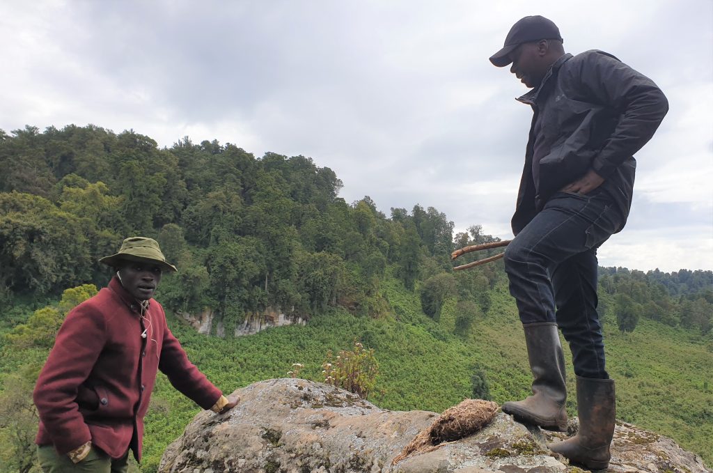 Forest Peoples Programme (FPP) - Transformative Pathways