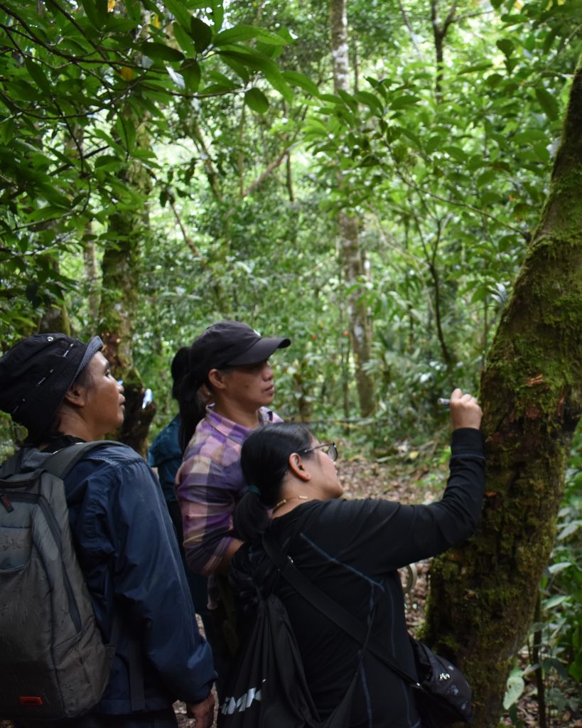 Partners for Indigenous Knowledge Philippines (PIKP) - Transformative Pathways