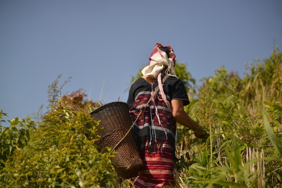 Project - Transformative Pathways