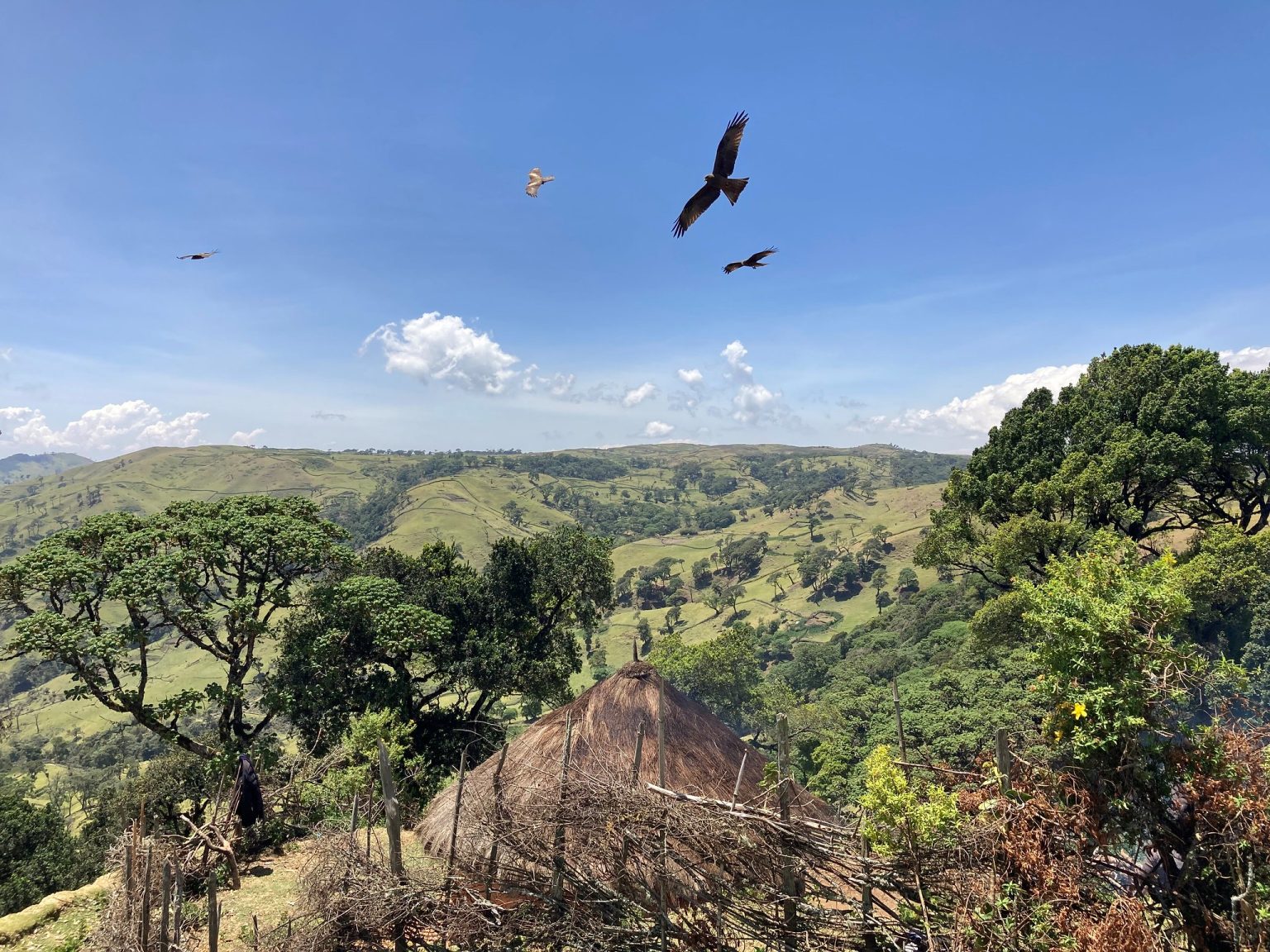 Home - Transformative Pathways