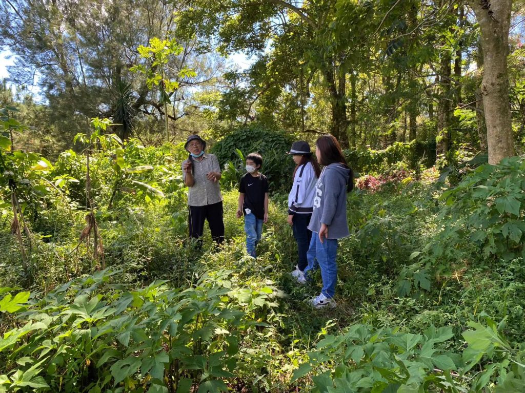 The Ibaloy Heritage Garden: A Lifeline for Indigenous Culture and ...