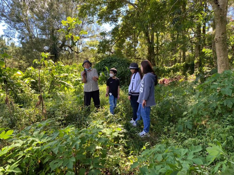 The Ibaloy Heritage Garden A Lifeline For Indigenous Culture And