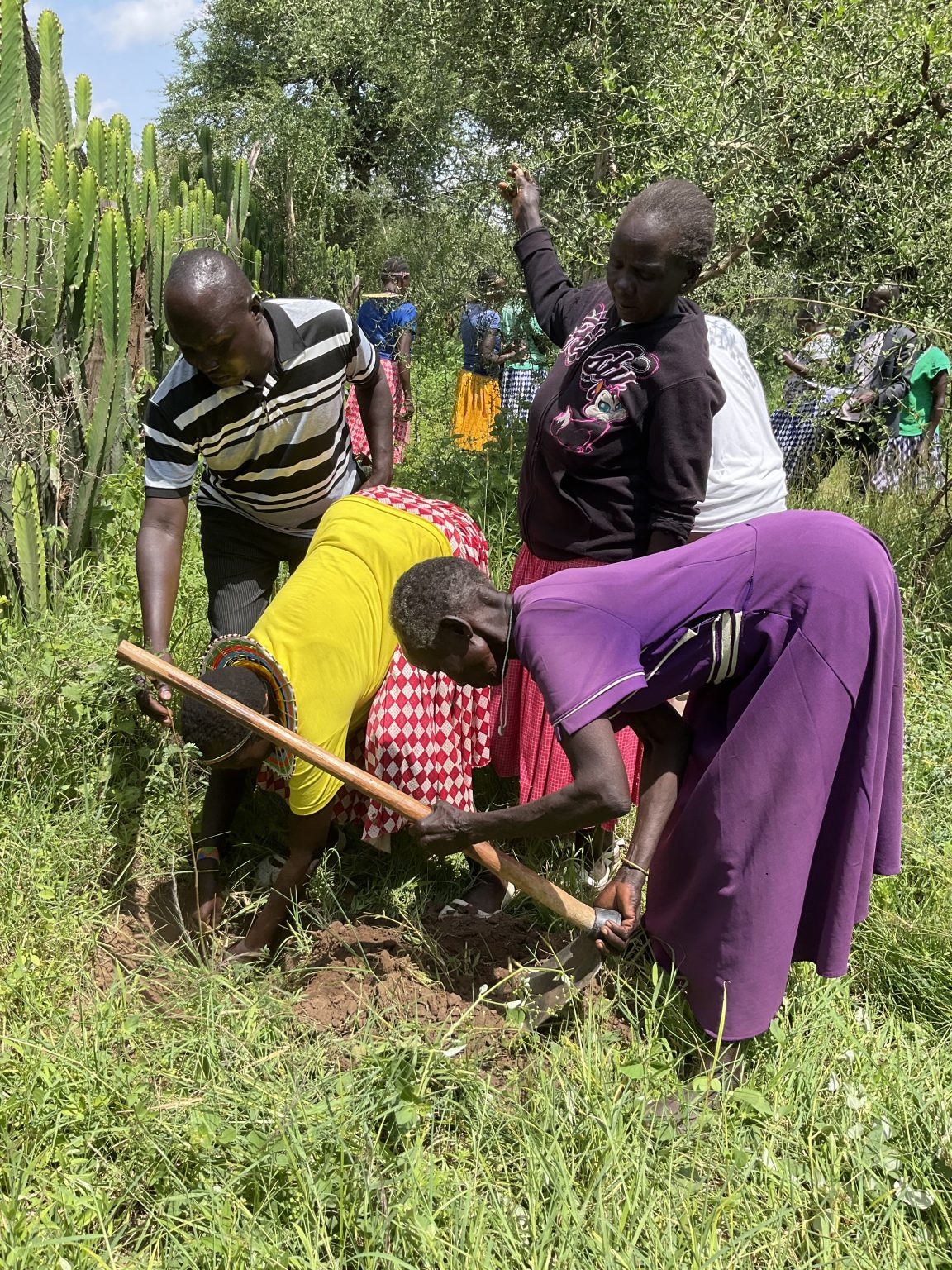 Indigenous Peoples in Kenya Celebrating World Environment Day and Biodiversity Day ...