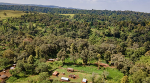 Home - Transformative Pathways