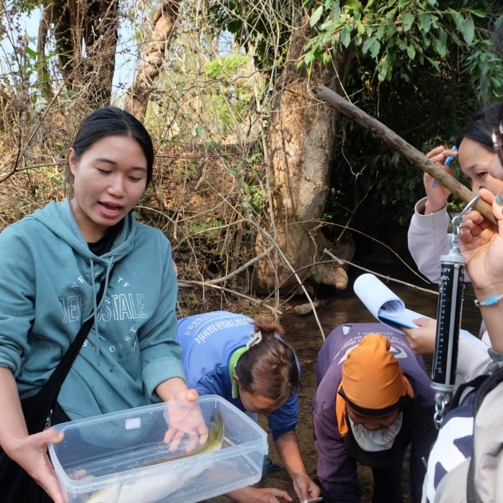The Ordination of the Forest and Water - Transformative Pathways